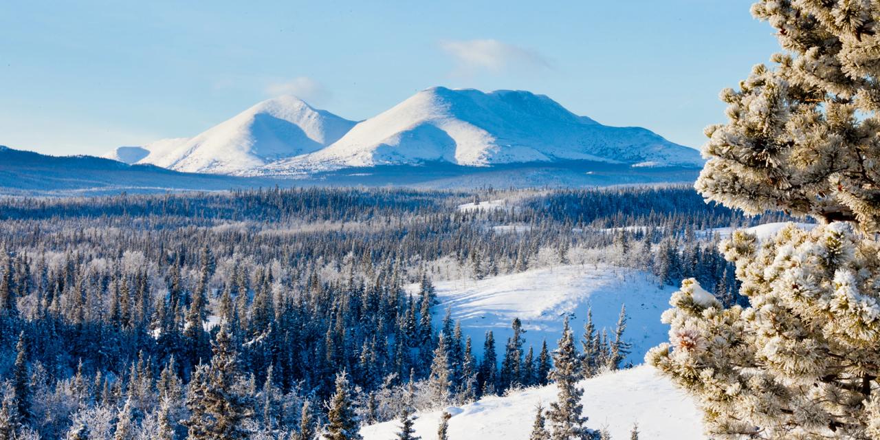 KLM Travel Guide - Holiday destinations, Tips & Flights - KLM Japan - 日本