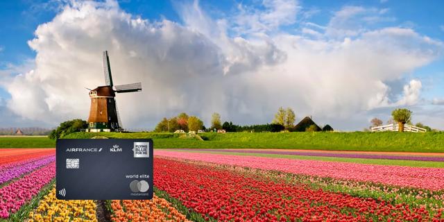 KLM Royal Dutch Airlines - Book flights online - KLM United States