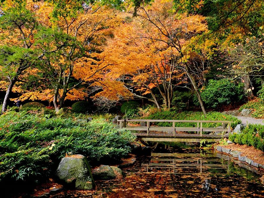 Beautiful lush gardens