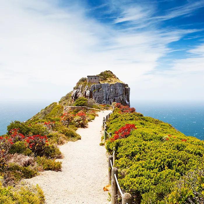 The beauty of Cape Good Hope