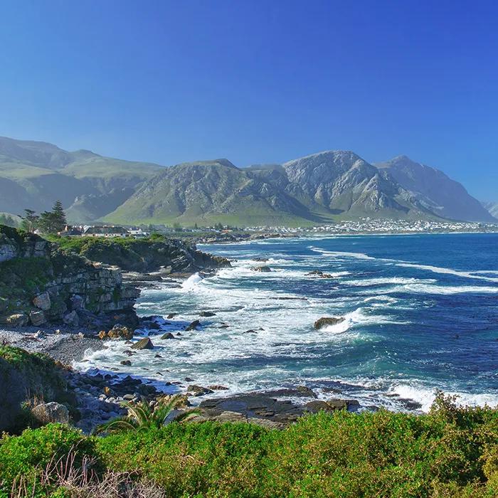 Whale spotting along the coast