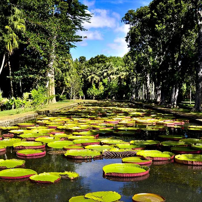 Travel Tips & Articles Mauritius - KLM Austria