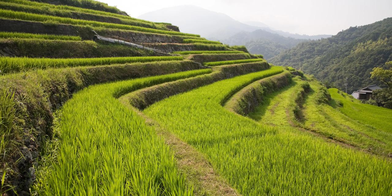 KLM Travel Guide - Holiday destinations, Tips & Flights - KLM Japan - 日本