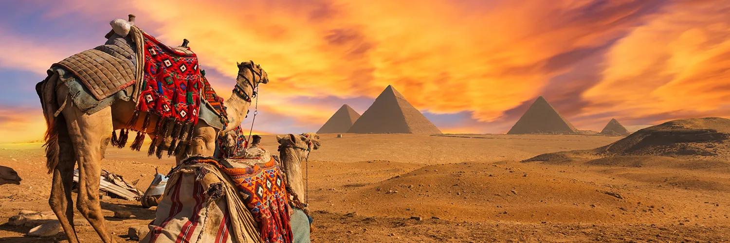 Flight deals from Krakow to Cairo | KLM