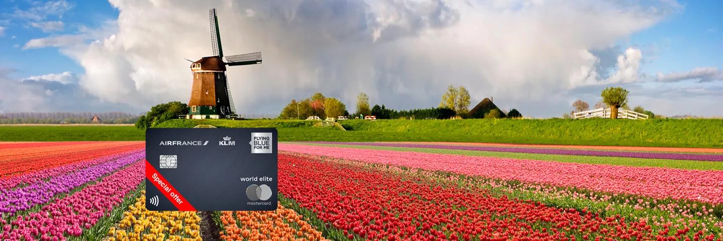 KLM Royal Dutch Airlines - Book flights online - KLM United States