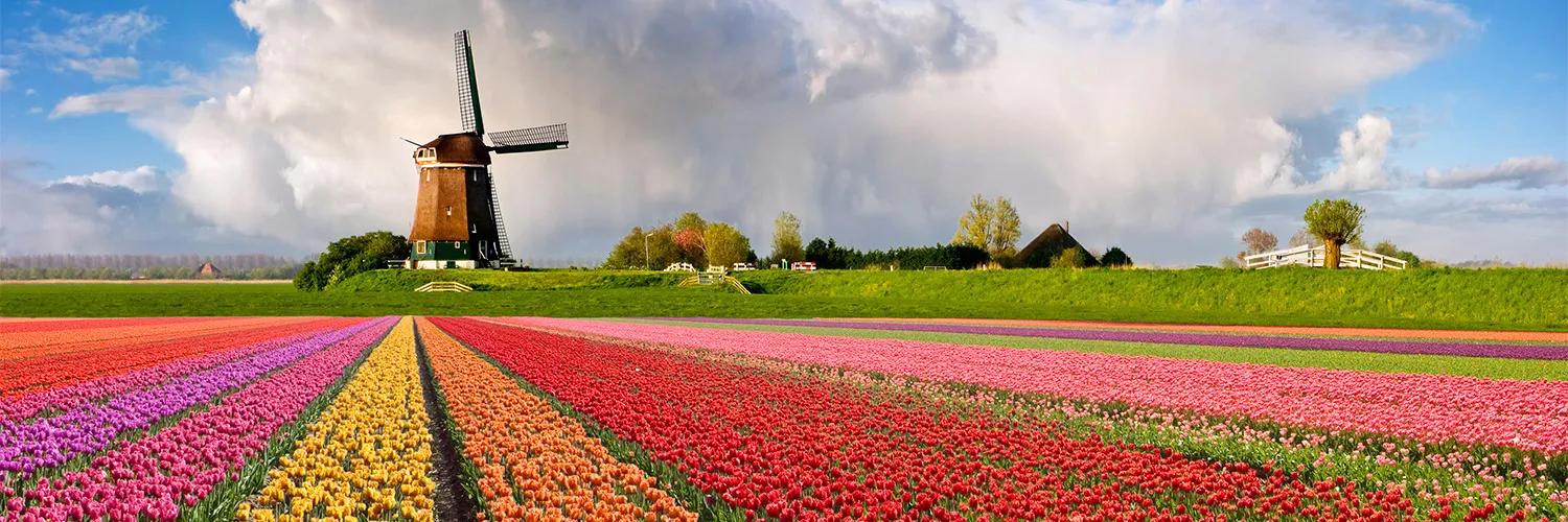 Bedste fly fra Danmark til Holland | KLM